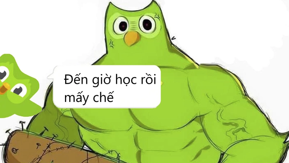 Duolingo meme bùng nổ hài hước qua bộ ảnh nghệ thuật mới